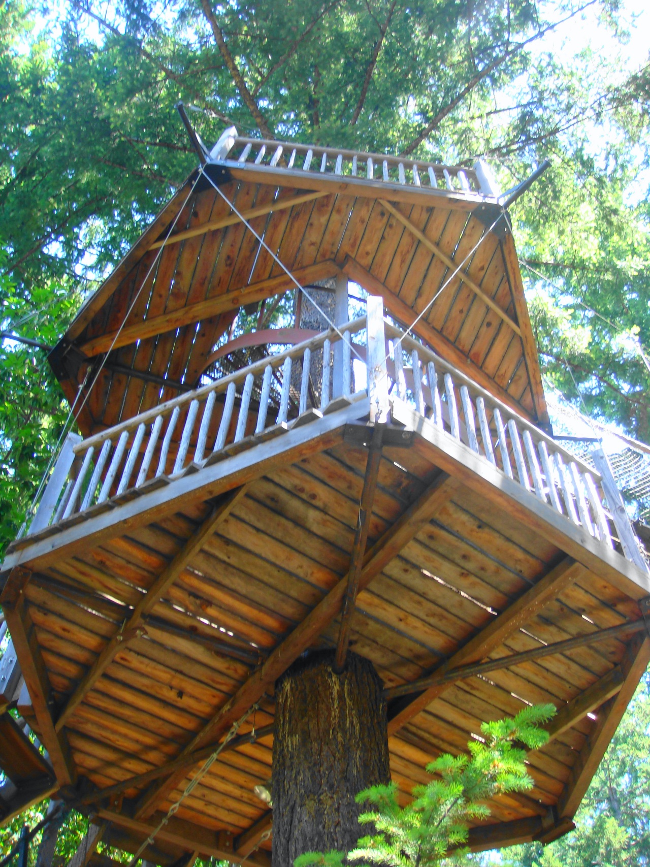 Tree House Garden Rooms